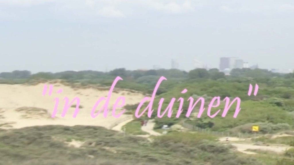 Free Skate Magazine » IN DE DUINEN
