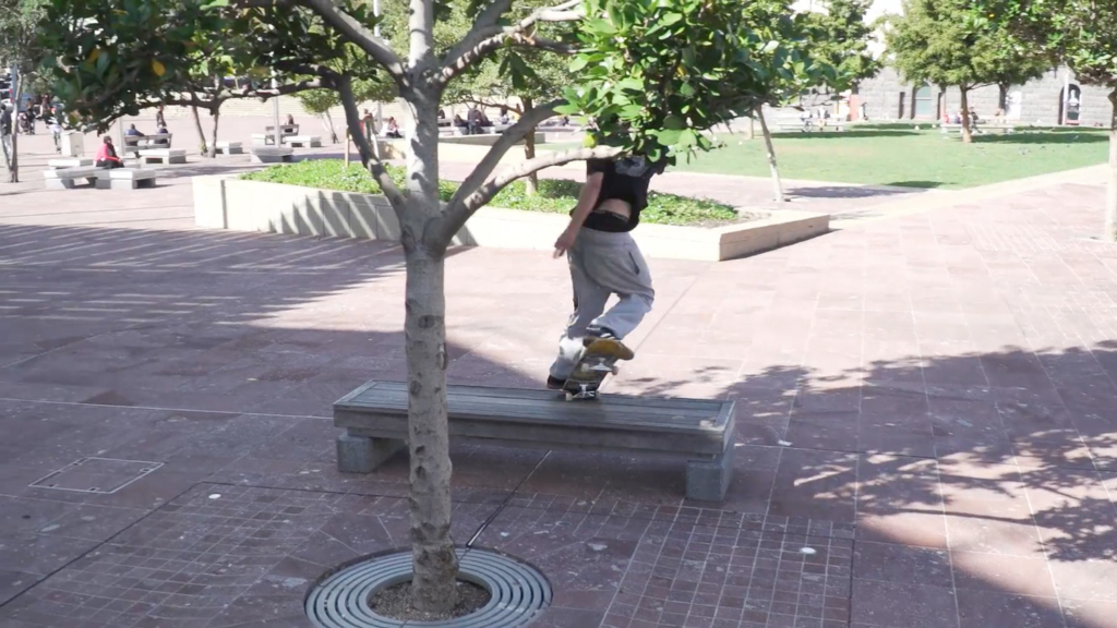 Free Skate Magazine » Skiddies to the front: adidas in Auckland